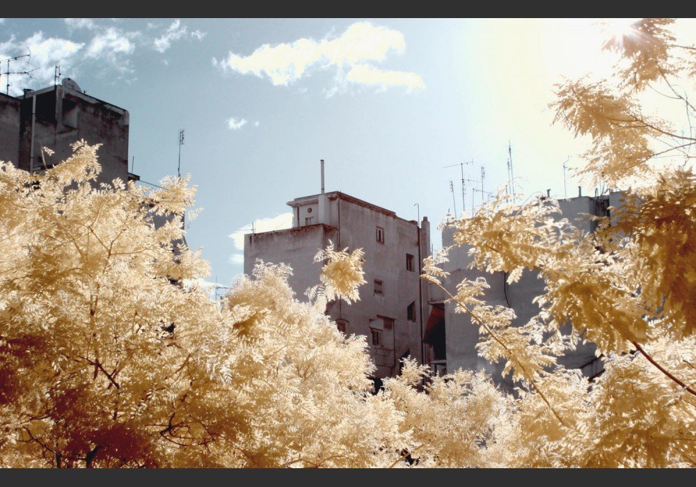 Infrared 590nm Converted Canon 1100D