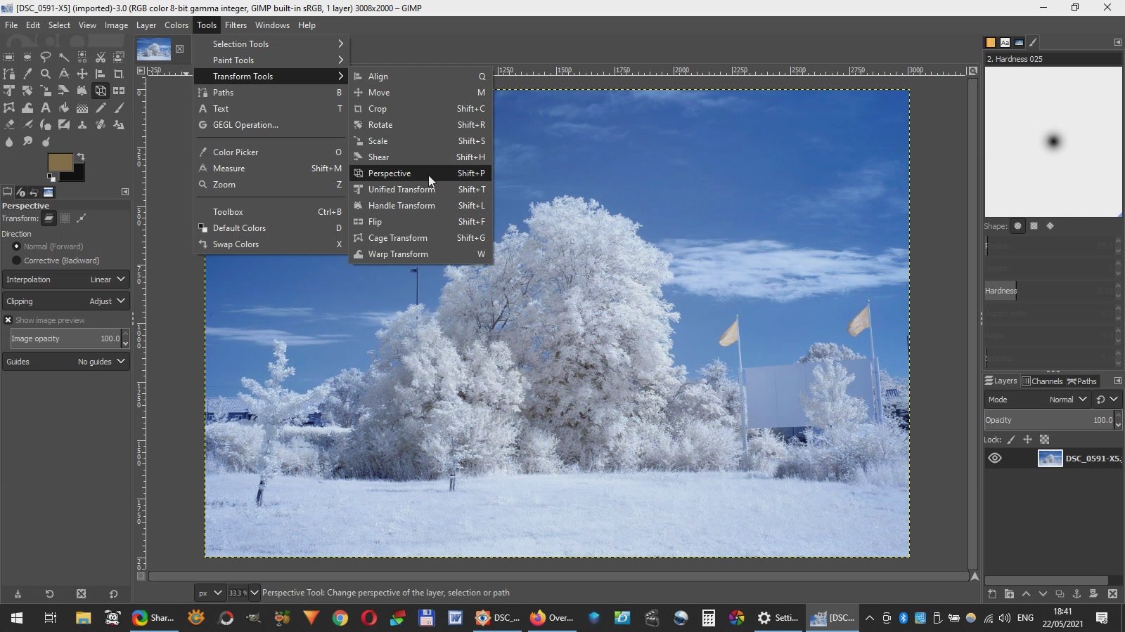 Simple IR Image Processing Method with FastStone Image Viewer. No ...
